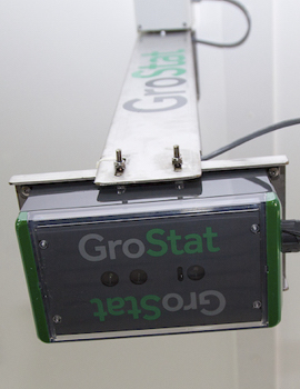 GroStat